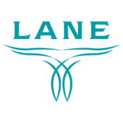 Buy Women's Leather Boots Online Direct From Lane